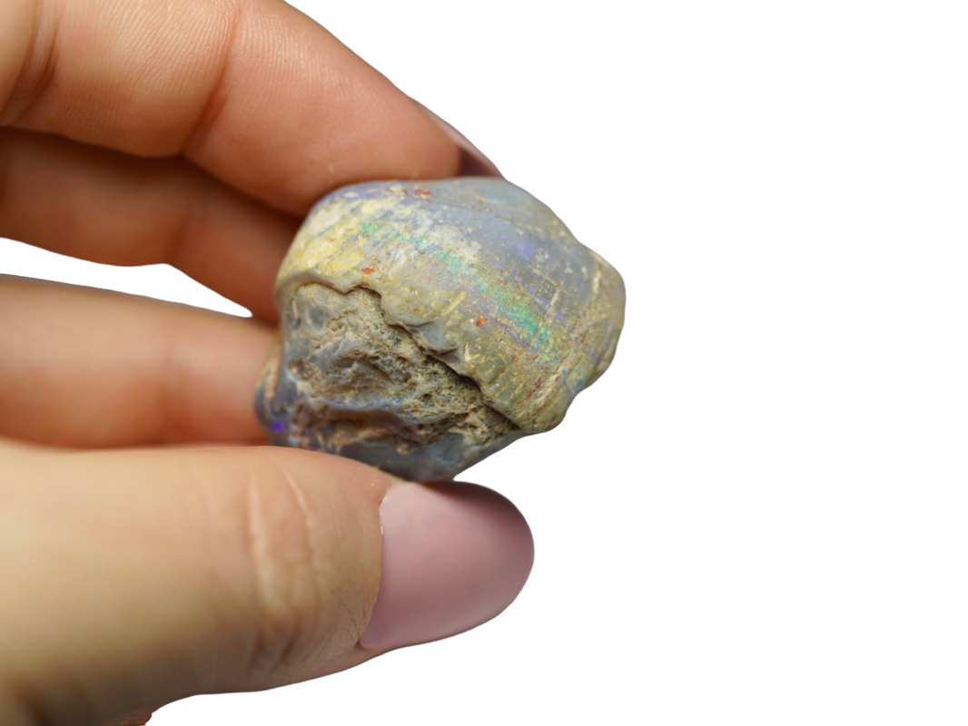Opalised Fossils – RedEarthOpal