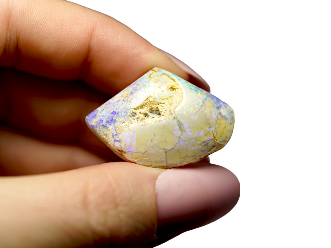 Opalised Fossils – RedEarthOpal