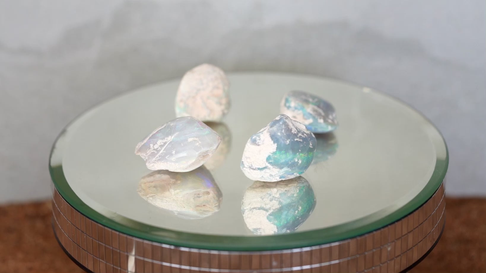 Opal Shell Fossil Pippi x 4 – RedEarthOpal