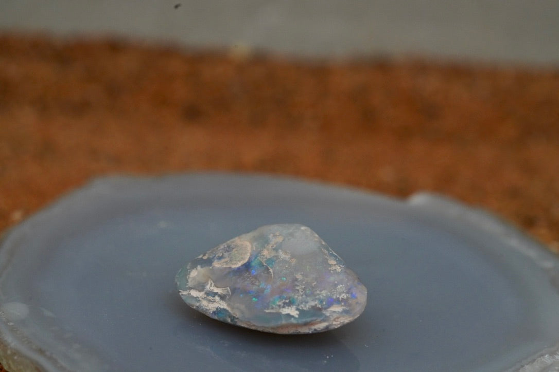 Opal Shell Fossil Pippi x 4 – RedEarthOpal